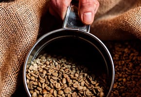 Origen del Café: Historia y Evolución hasta el Café de Especialidad